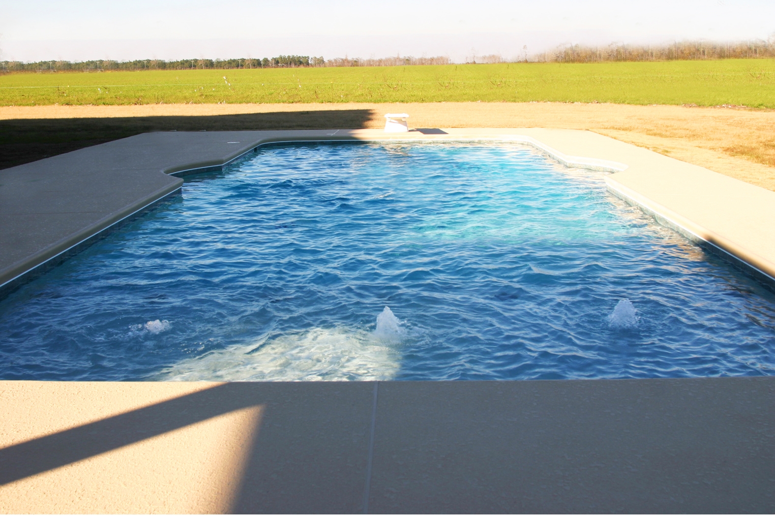 Swimming Till the Cows Come Home | Watson's Pools & Patios